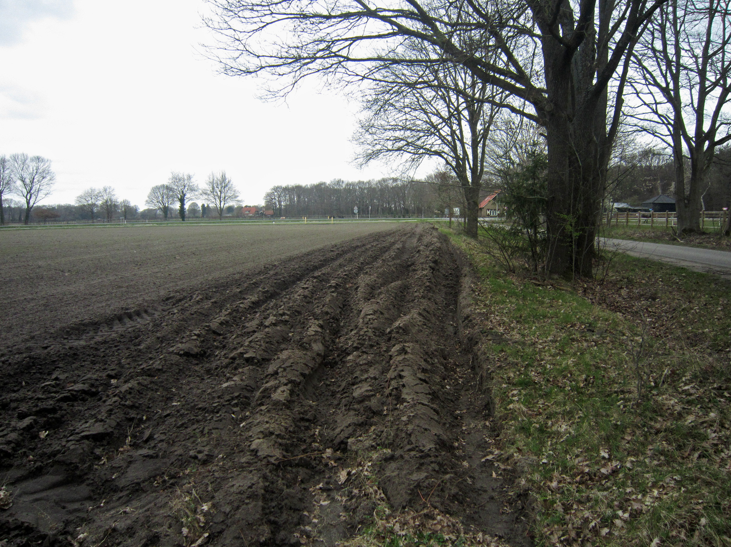 Rotary Club Barchem initieert weidebloemenproject voor de bijen – Mooi ...